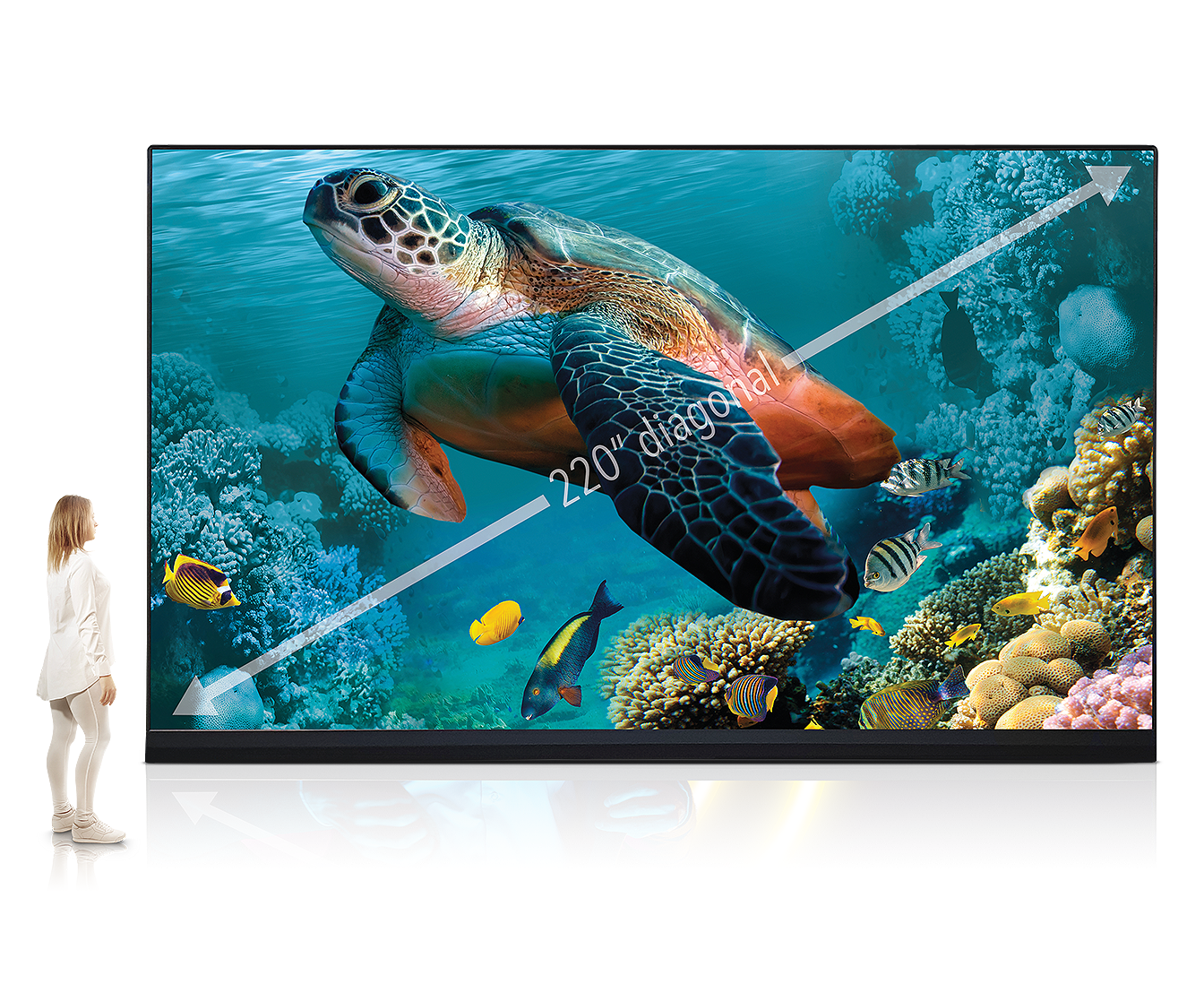 Sharp LED-FE012i3-220 220” UHD Indoor DvLED Display | 1.26mm Pixel – Avendor